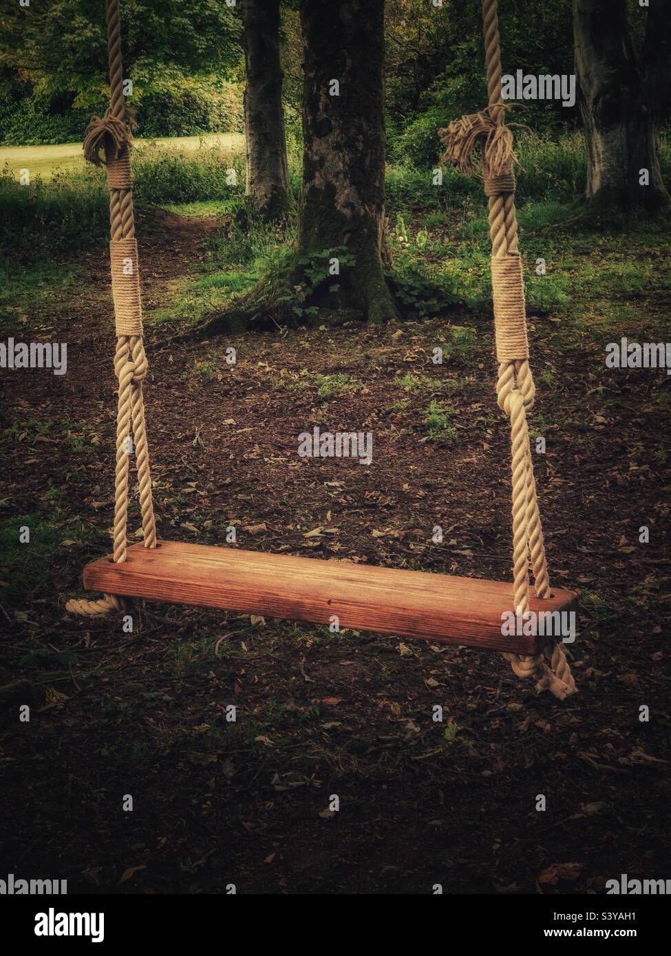 Swing in wood hi-res stock photography and images - Alamy