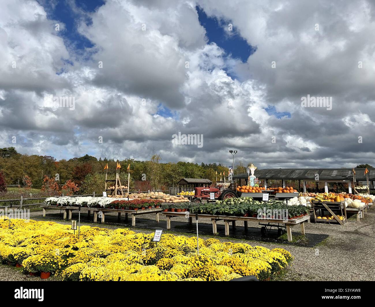 Outdoor fall market in Holiday season Stock Photo - Alamy