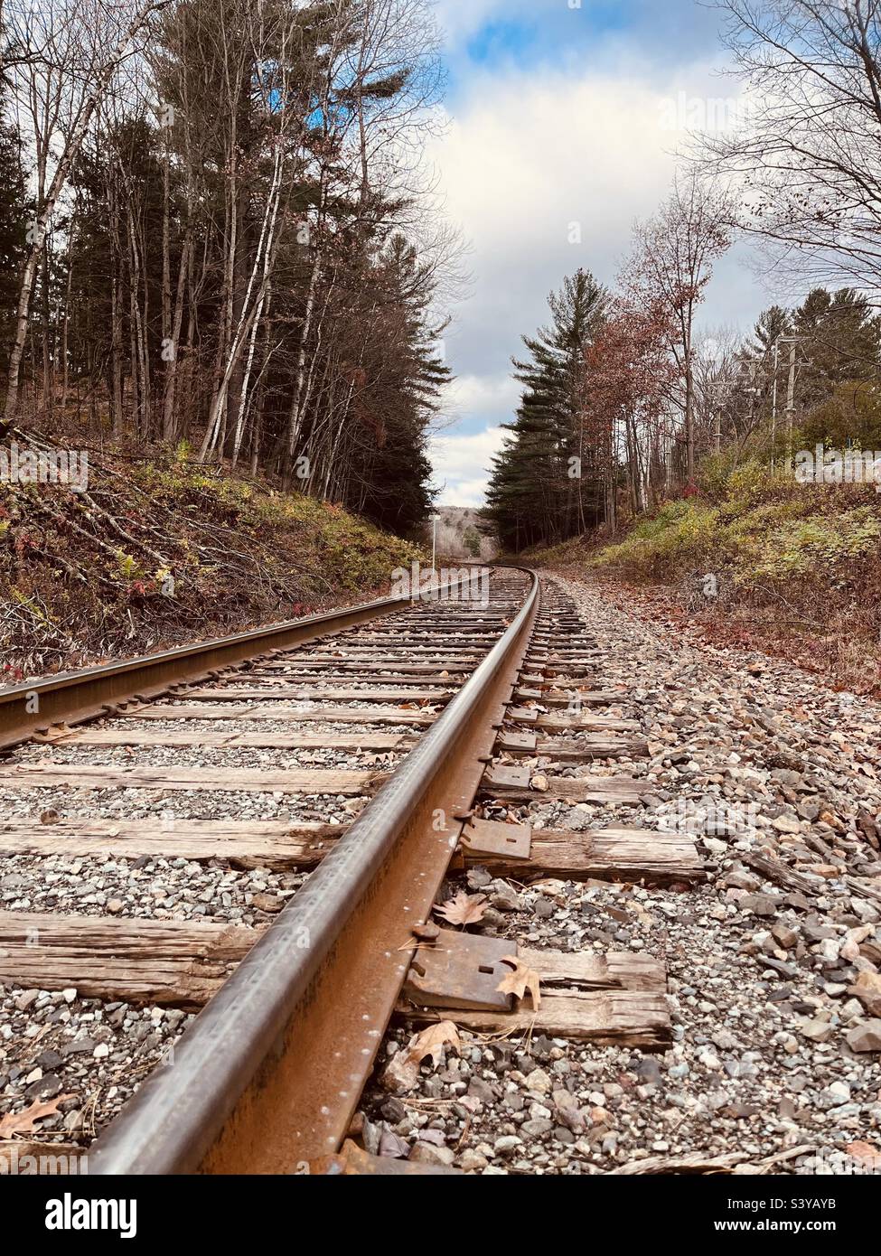 Track in nature hi-res stock photography and images - Alamy