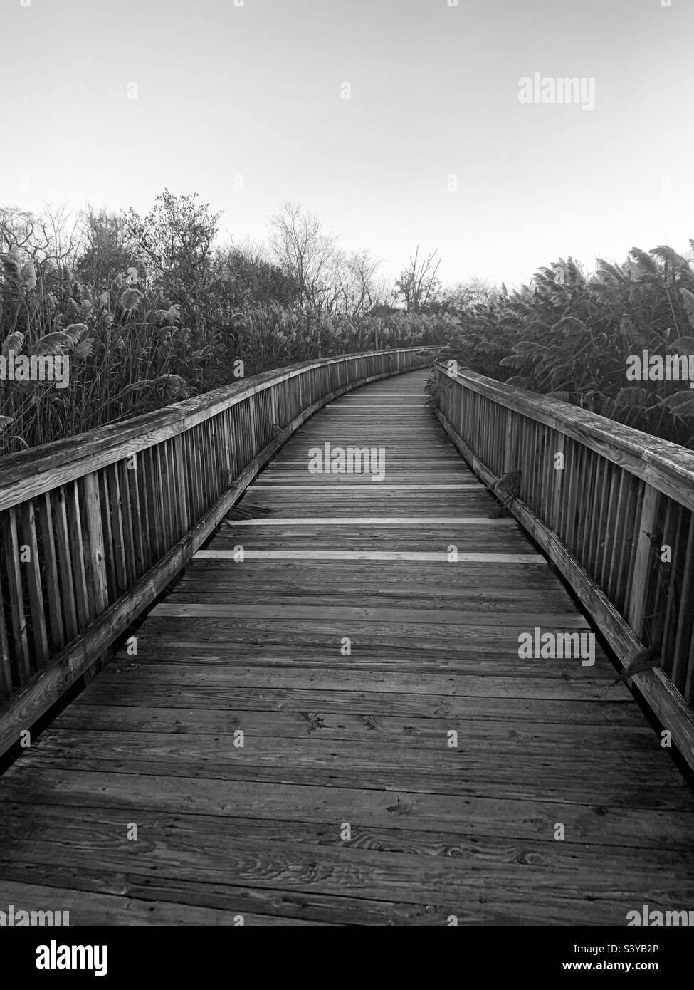 Nature walk boardwalk hi-res stock photography and images - Alamy