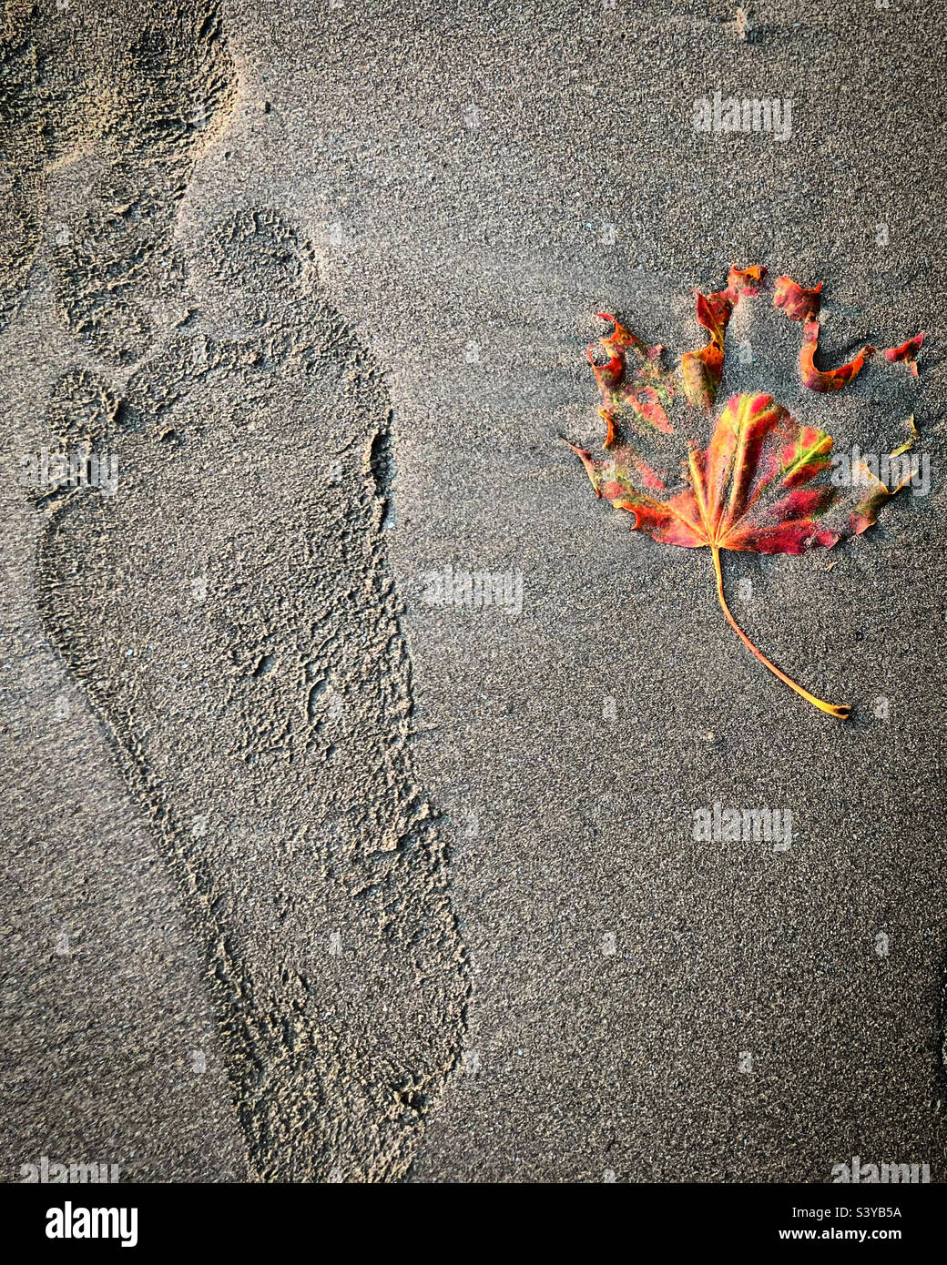 Fall footprints hi-res stock photography and images - Alamy