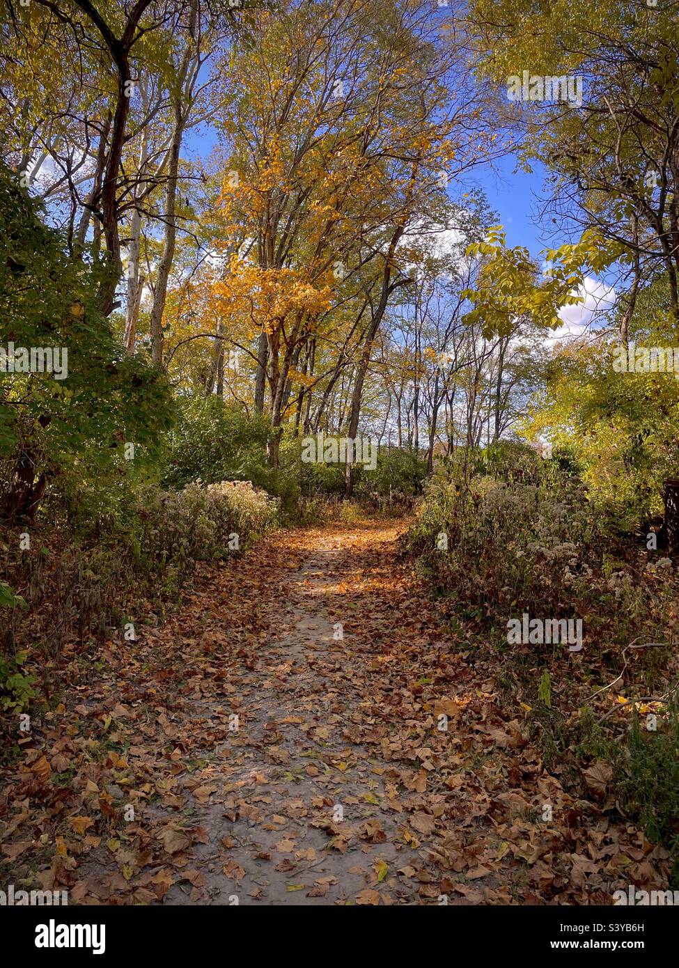 Walking aesthetic hi-res stock photography and images - Alamy