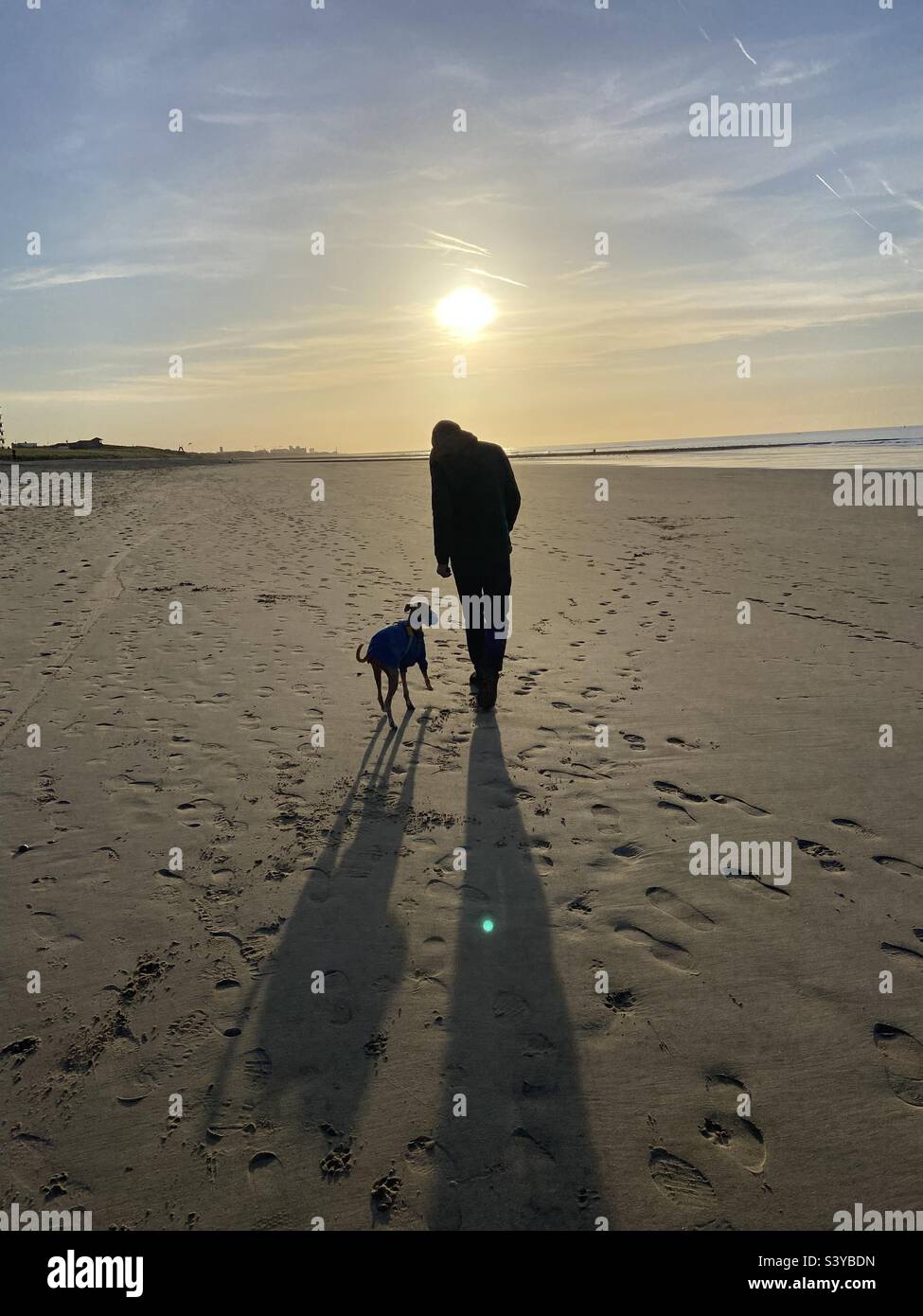 Whippet beach hi-res stock photography and images - Alamy