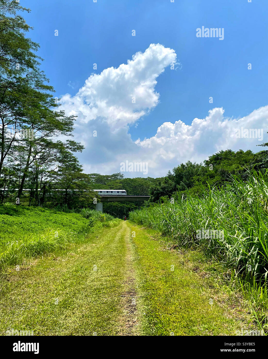 Kranji Heritage Trail in Singapore Stock Photo - Alamy