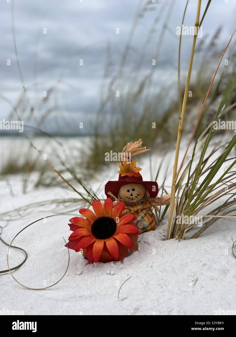 Autumn decorations on white sand beach Stock Photo - Alamy