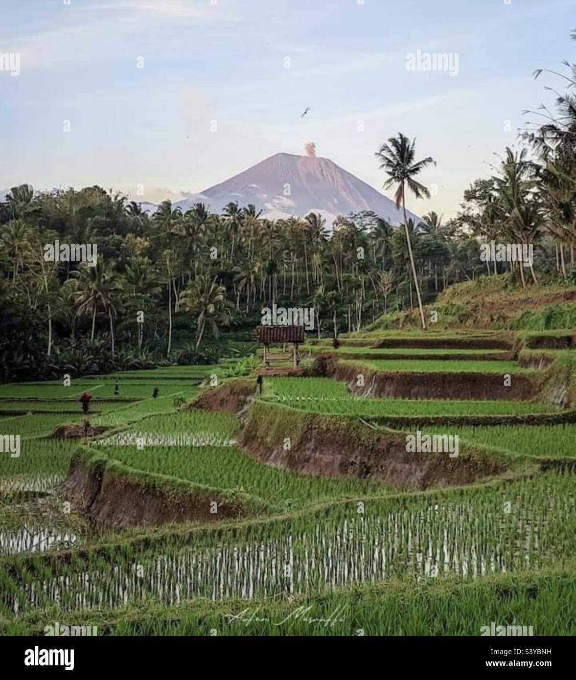 Kediri java hi-res stock photography and images - Alamy