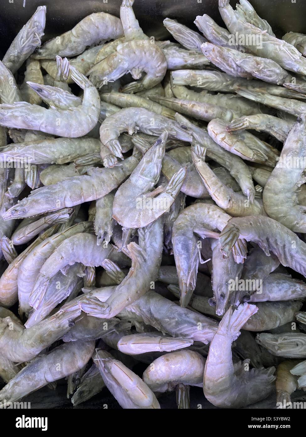 Frozen prawns hi-res stock photography and images - Alamy