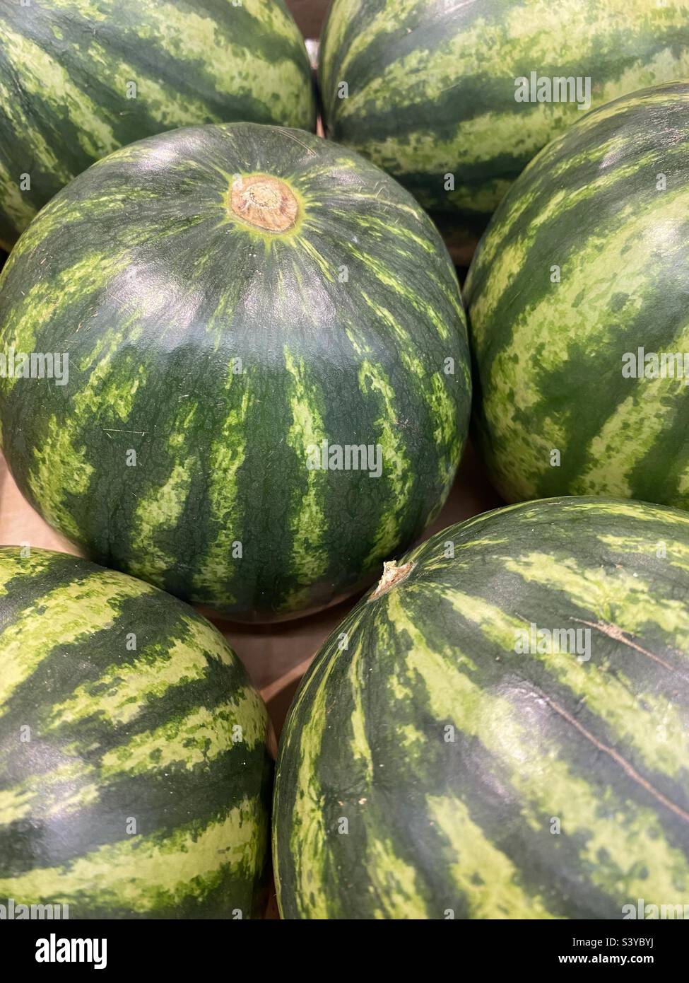 Melons in a box Stock Photo - Alamy