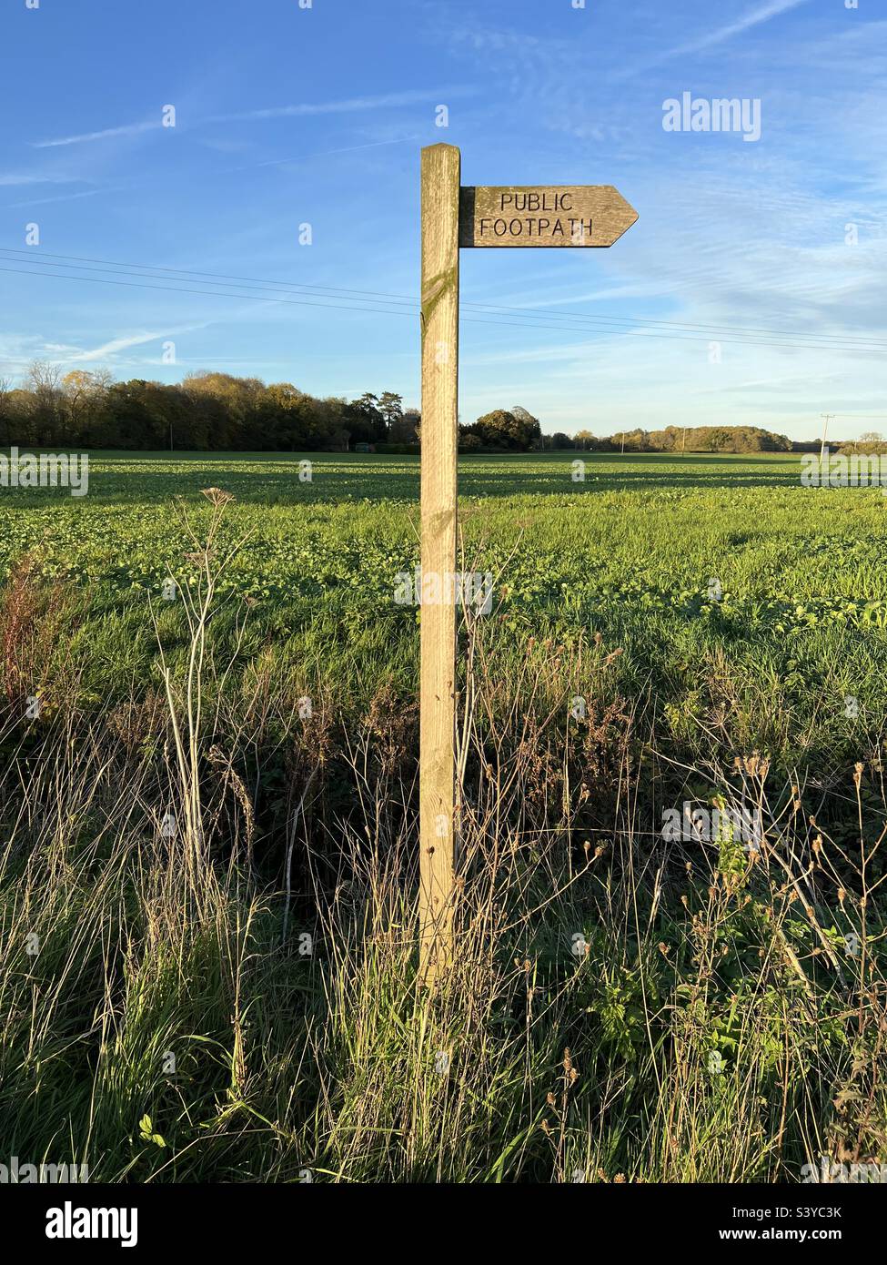 A public footpath sign post pointing the way across fields in Norfolk ...