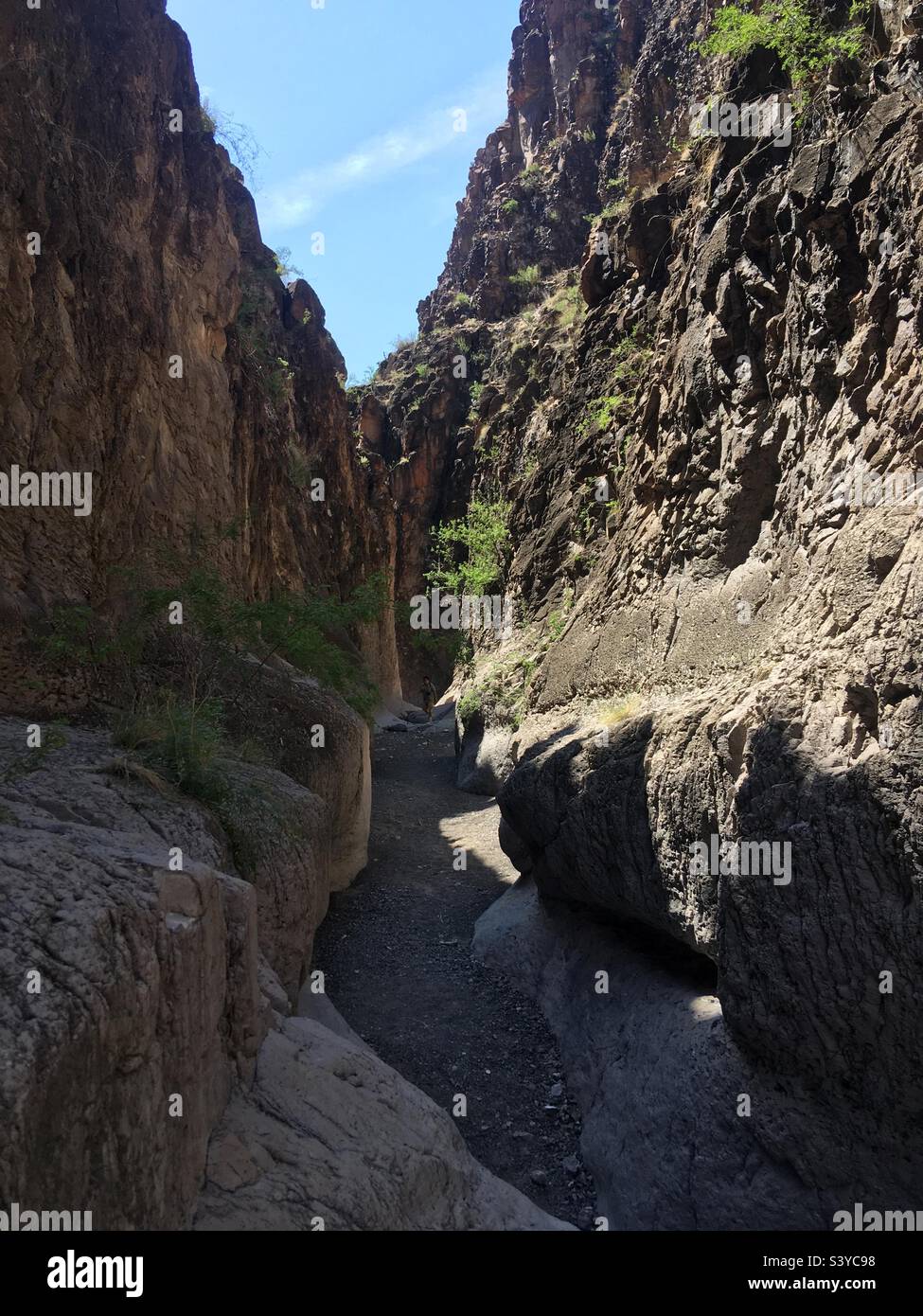 Big bend ranch hi-res stock photography and images - Alamy