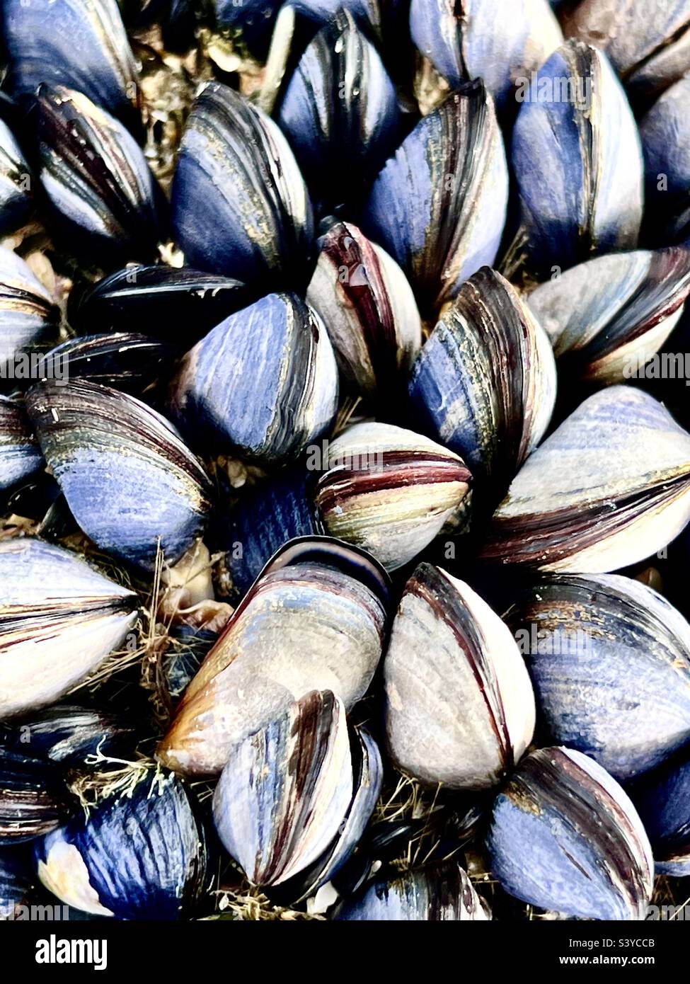 Harlan bay hi-res stock photography and images - Alamy