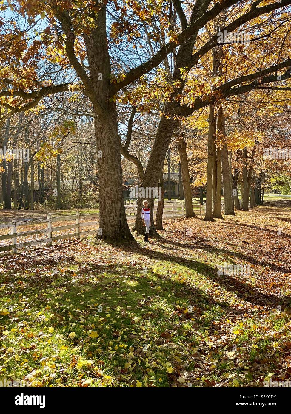 Fence maples and girl hi-res stock photography and images - Alamy