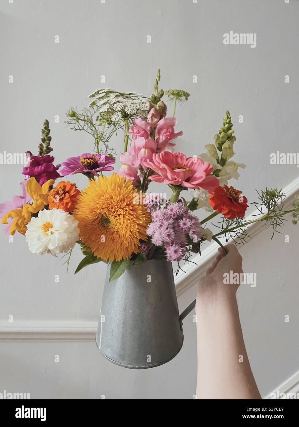 Pick own flowers hi-res stock photography and images - Alamy