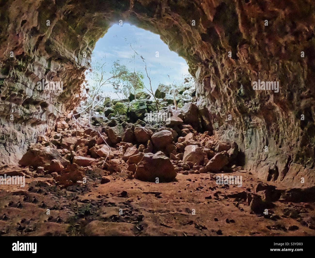 The unique natural geological formations of Undara lava tubes, northern ...