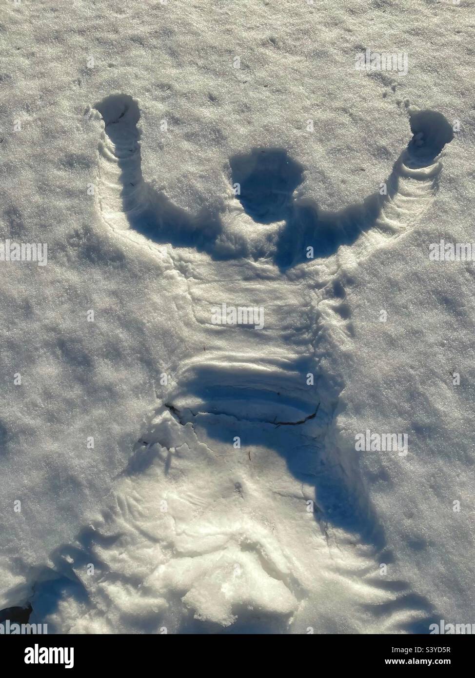 Trace man hi-res stock photography and images - Alamy