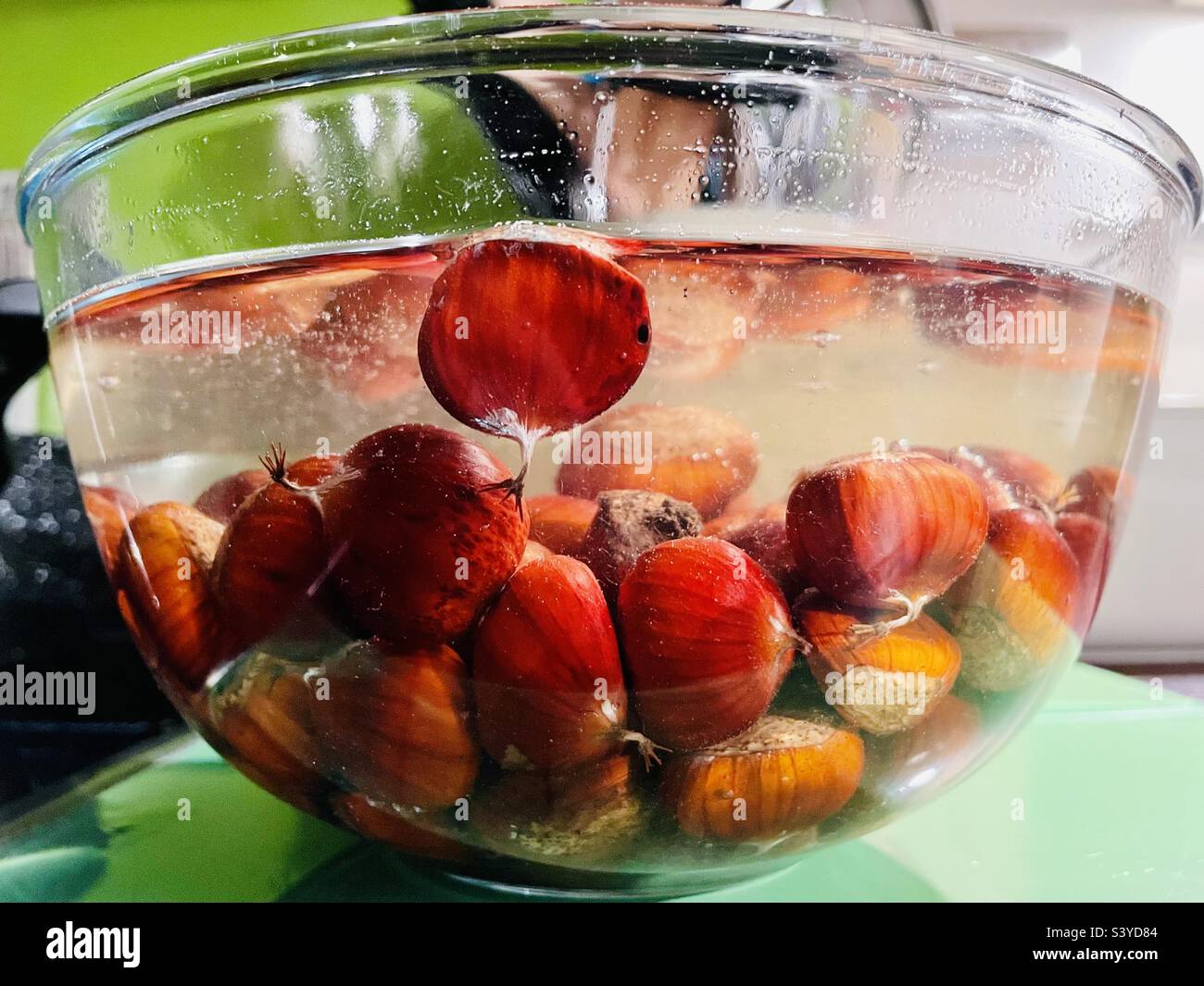 Roasting foraged chestnuts hi-res stock photography and images - Alamy