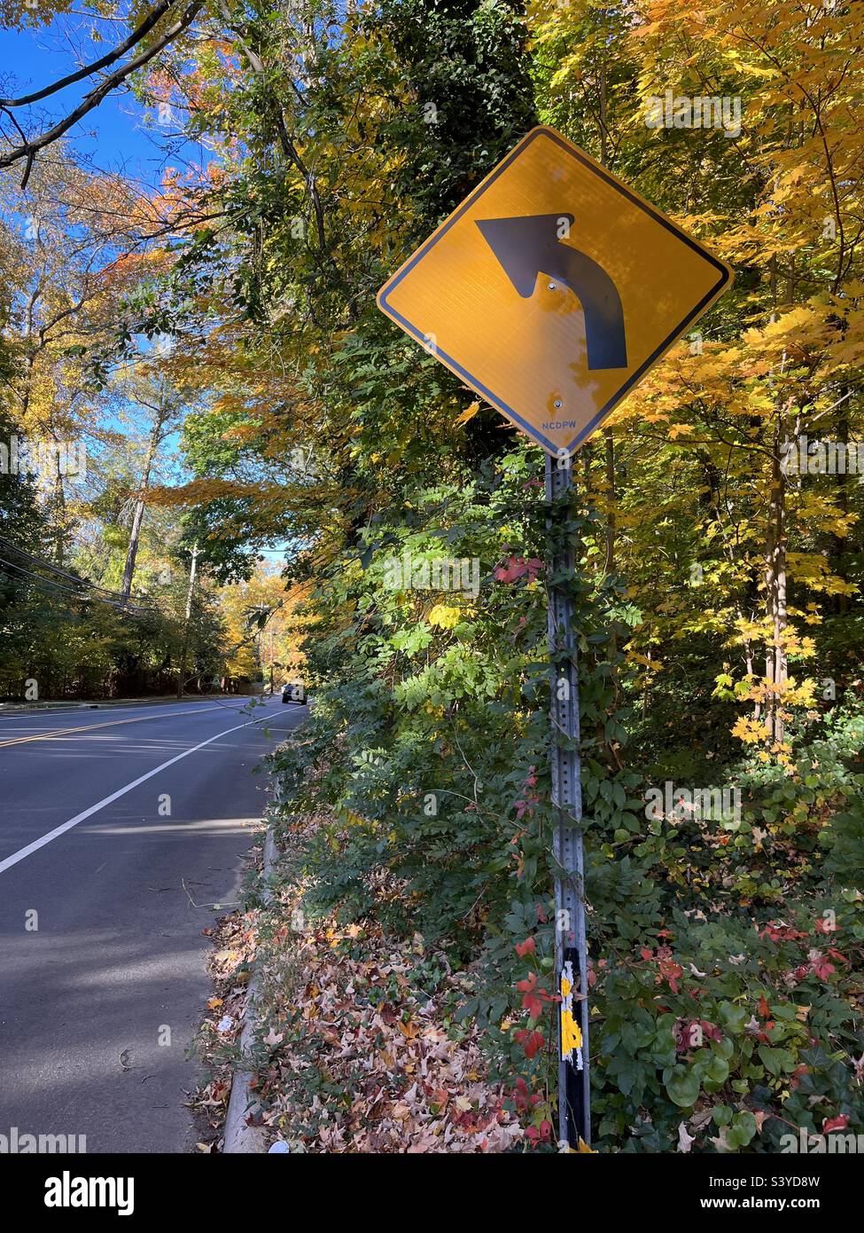 A Road sign on a foliage tree-lined street Stock Photo - Alamy