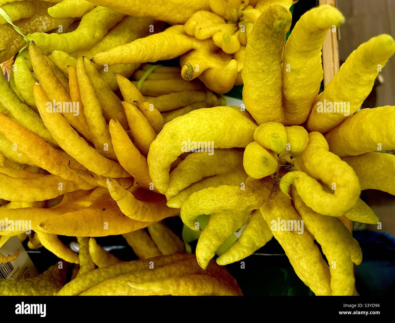 Buddhas hand citrus medica hi-res stock photography and images - Alamy