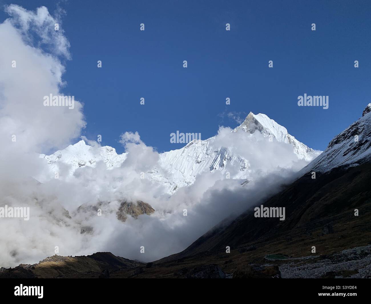 Machhapuchhre Mountain in Annapurna Himalayan Range Stock Photo - Alamy