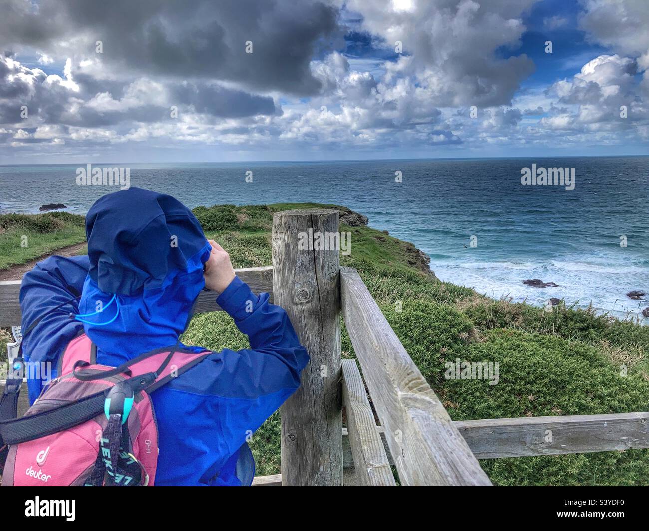Woman bird watching at Rowan Cove Cornwall Stock Photo - Alamy