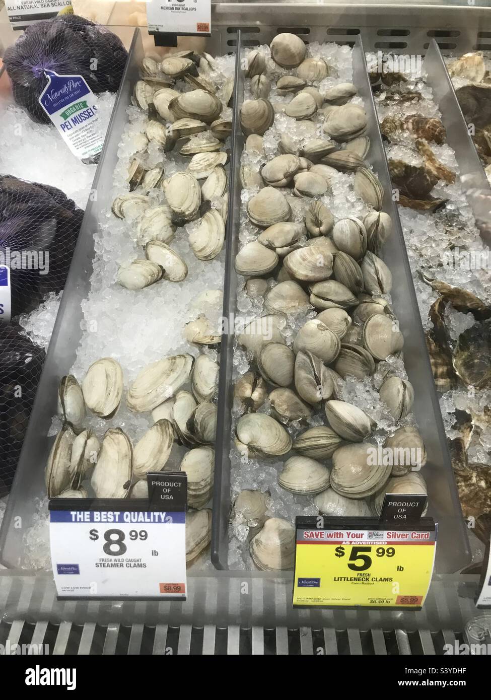 Steamers clams hi-res stock photography and images - Alamy