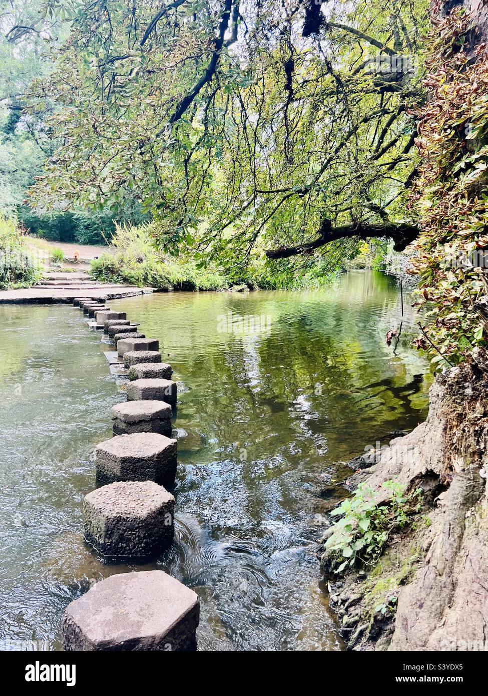 Crossing the pond hi-res stock photography and images - Alamy