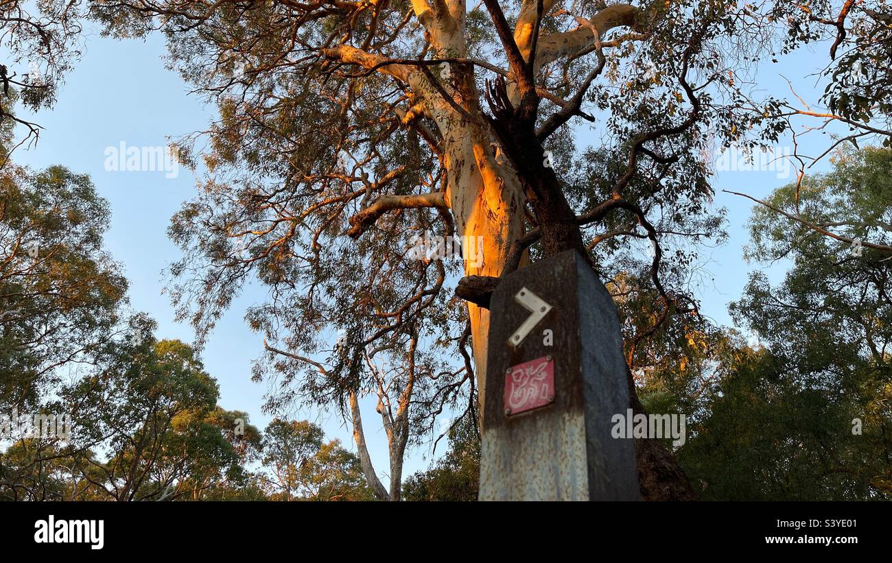 Perth hills walk trails Stock Photo - Alamy