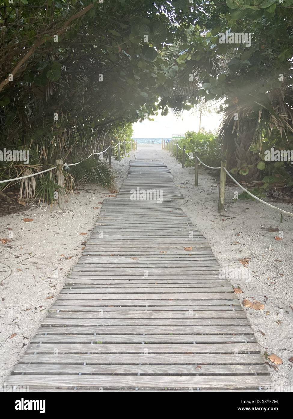 Pathway and miami hi-res stock photography and images - Alamy