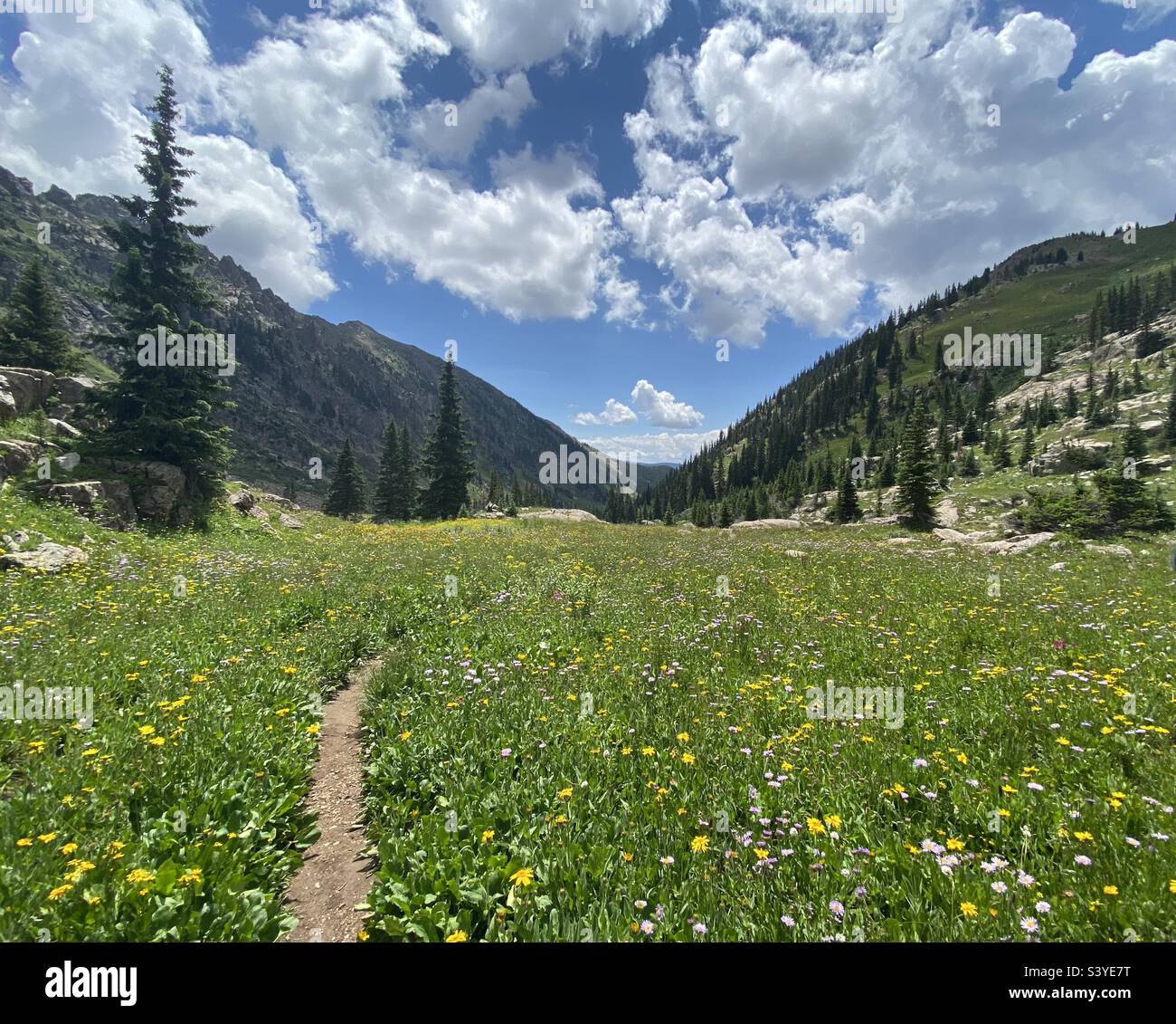 Booth and co hi-res stock photography and images - Alamy
