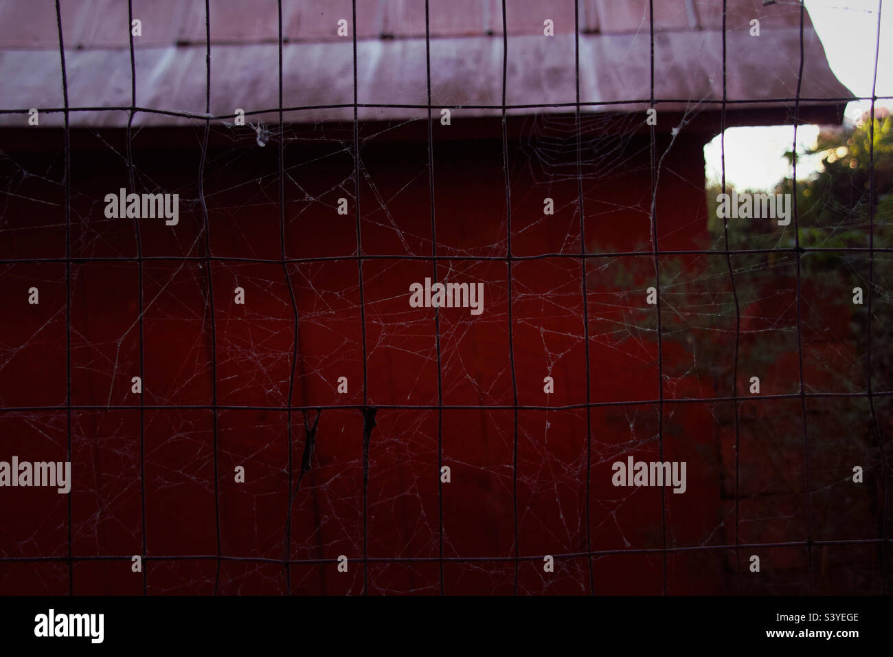 Barn spider hi-res stock photography and images - Alamy