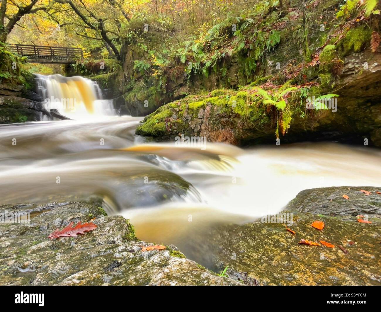 Shychrhyd gorge hi-res stock photography and images - Alamy