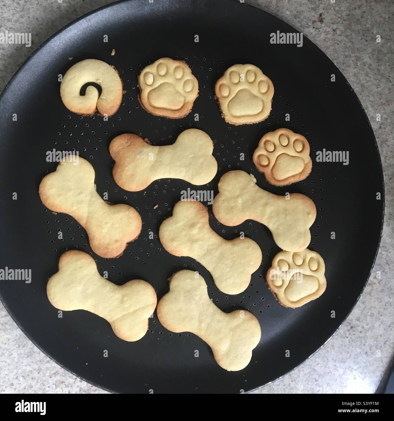 Bone cookies hi-res stock photography and images - Alamy