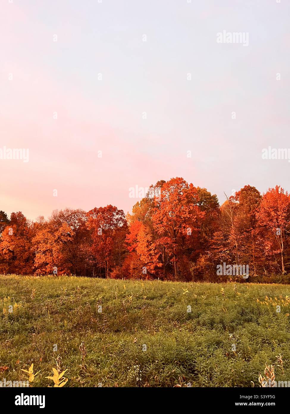 Pennsylvania fall foliage hi-res stock photography and images - Alamy