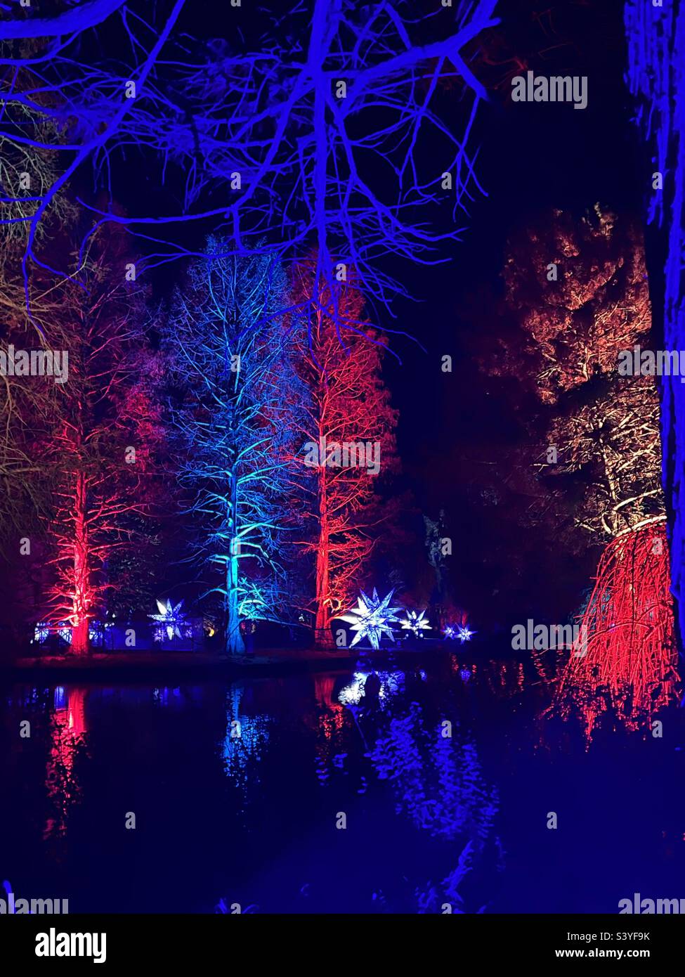 Brightly lit trees hi-res stock photography and images - Alamy