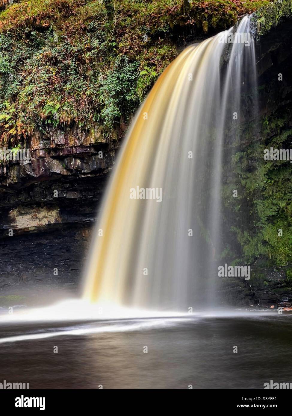 Lady of the vale hi-res stock photography and images - Alamy
