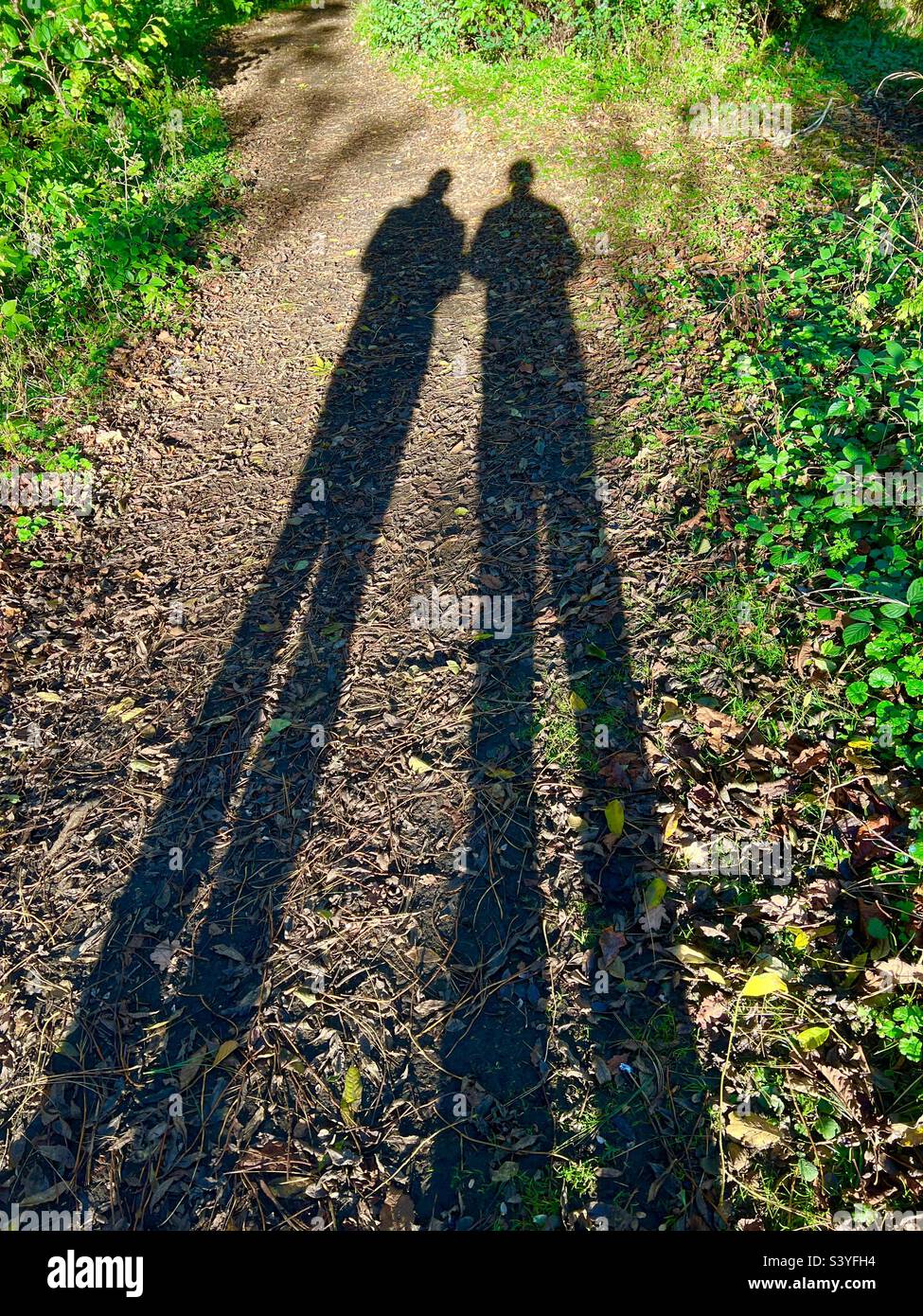Long shadow outline of two people on an autumn woodland path Stock ...