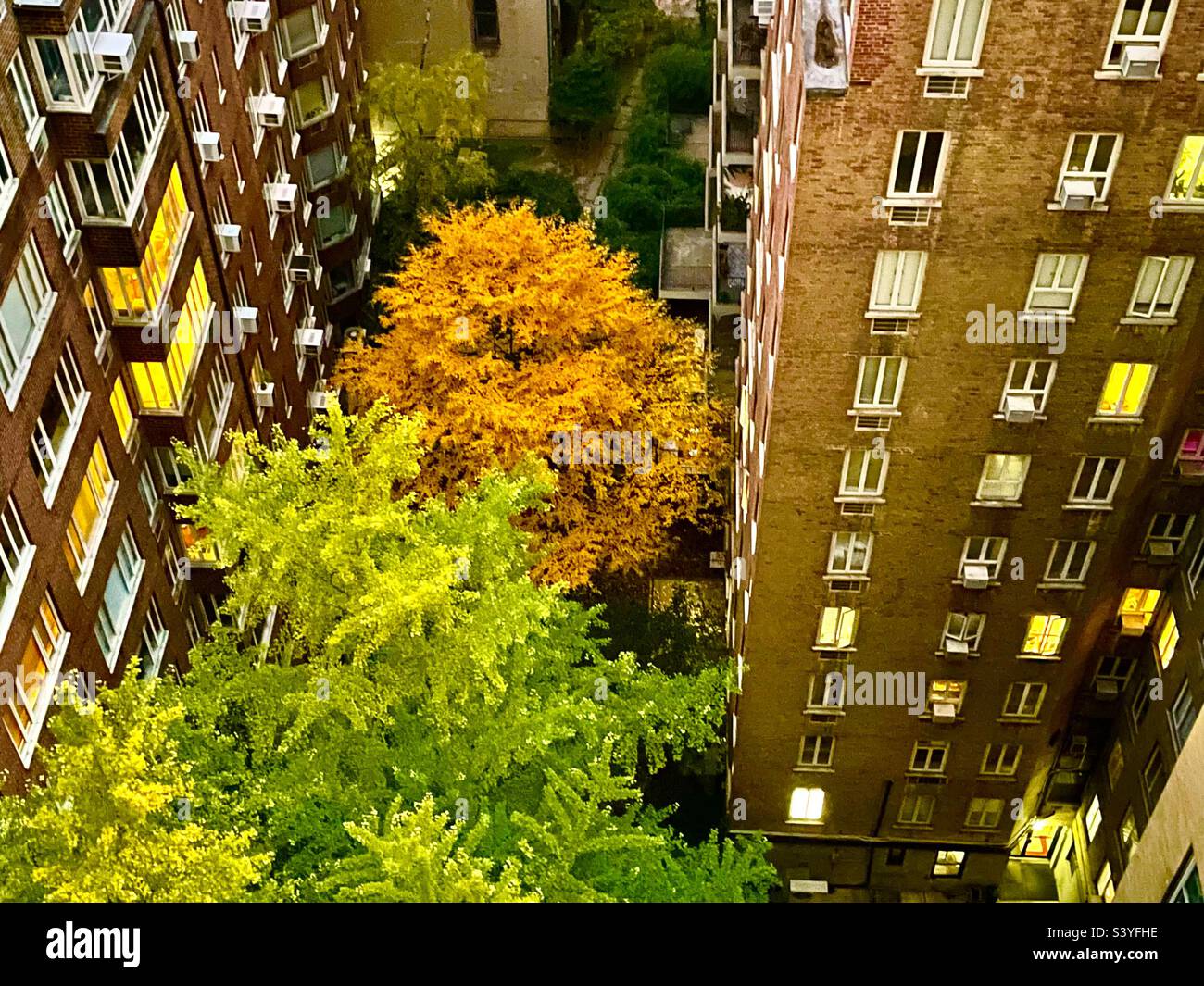Changing colors of fall foliage in courtyard between apartment ...