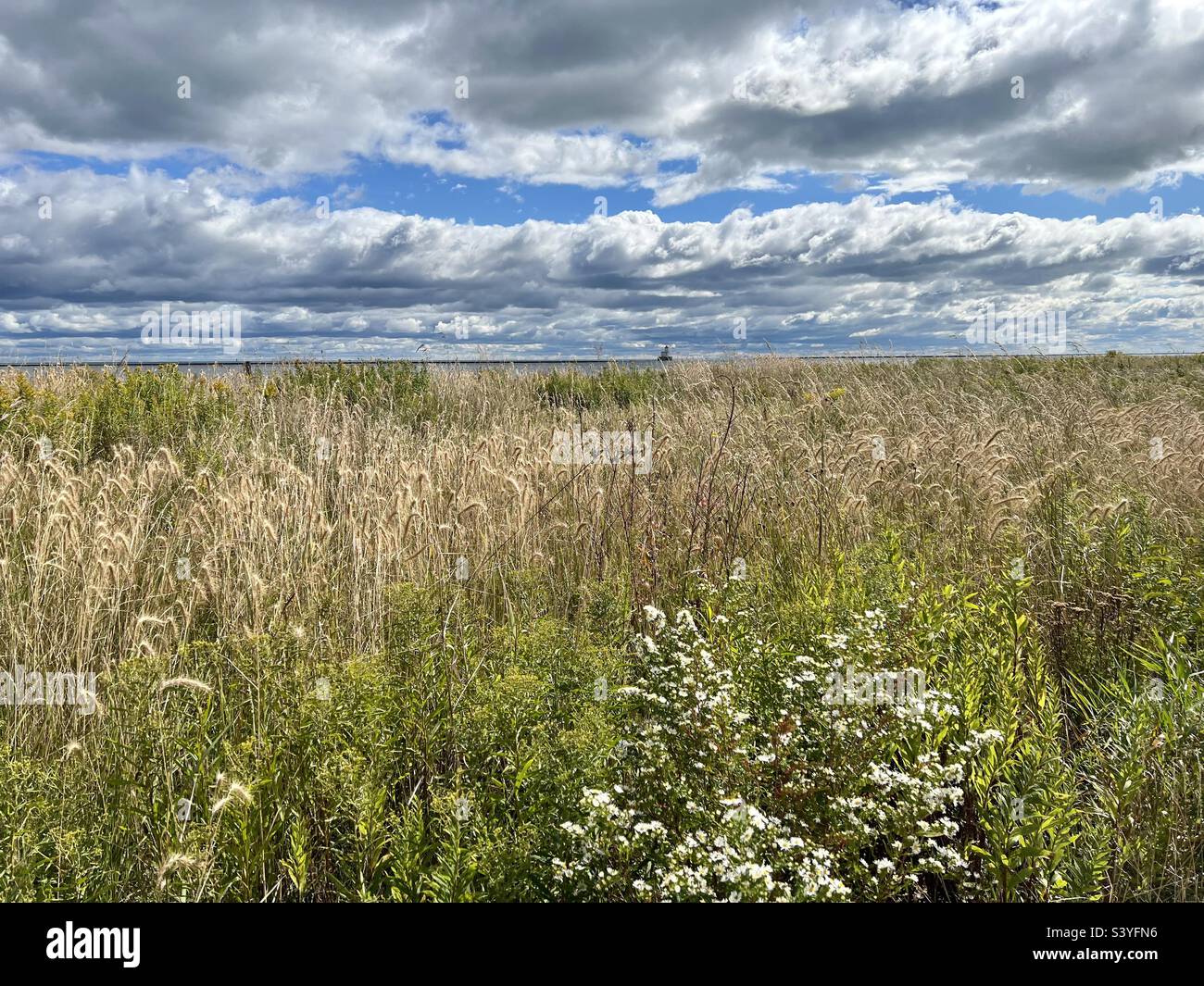 Photo of the preserved prairie fields located at Lake Shore State Park ...