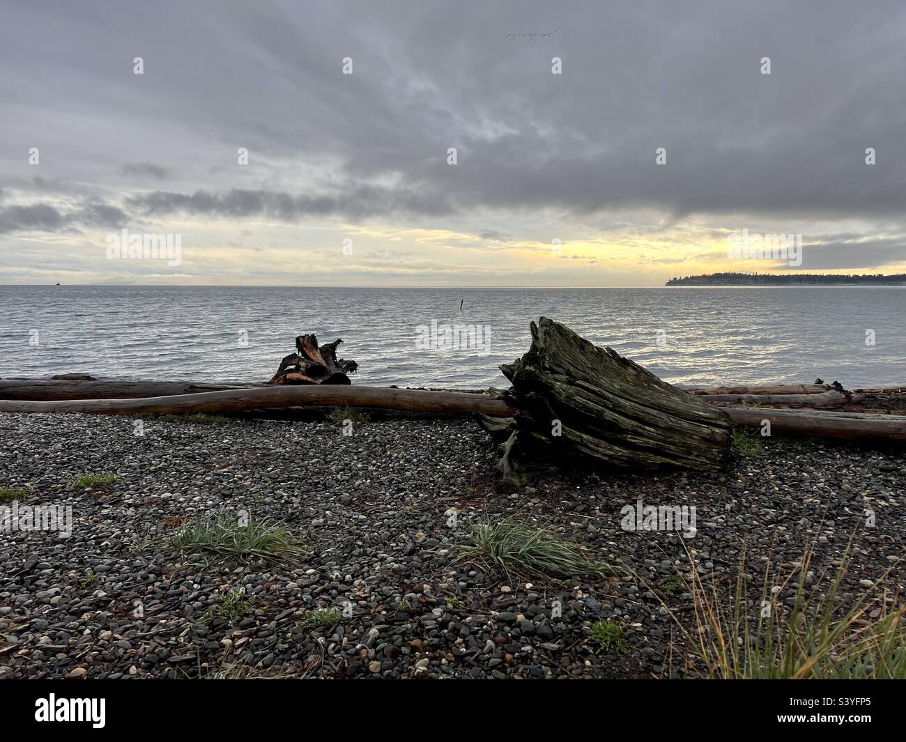 Birch bay hi-res stock photography and images - Alamy