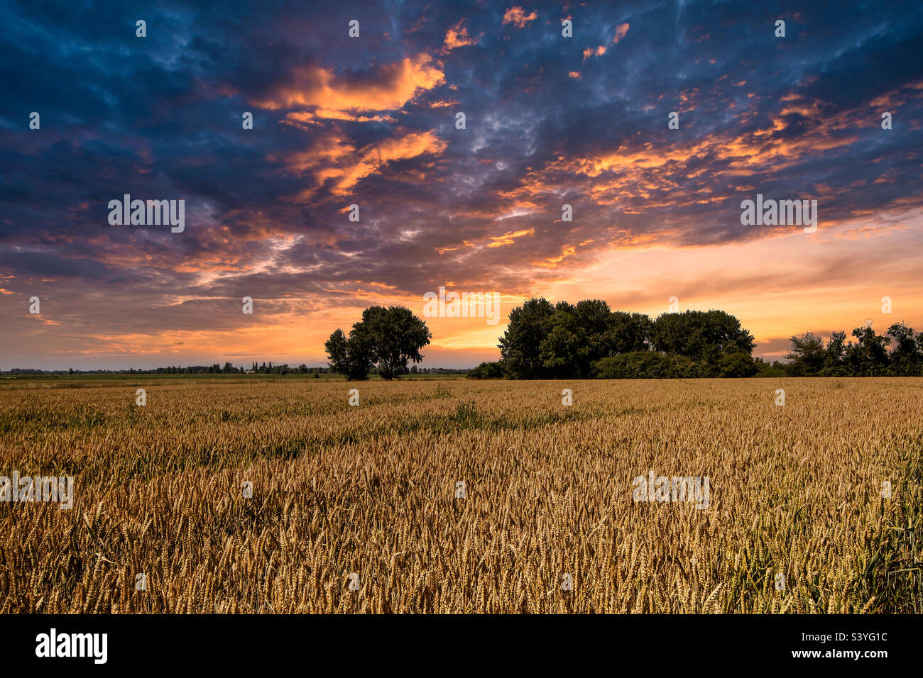 Fens cambridge hi-res stock photography and images - Alamy