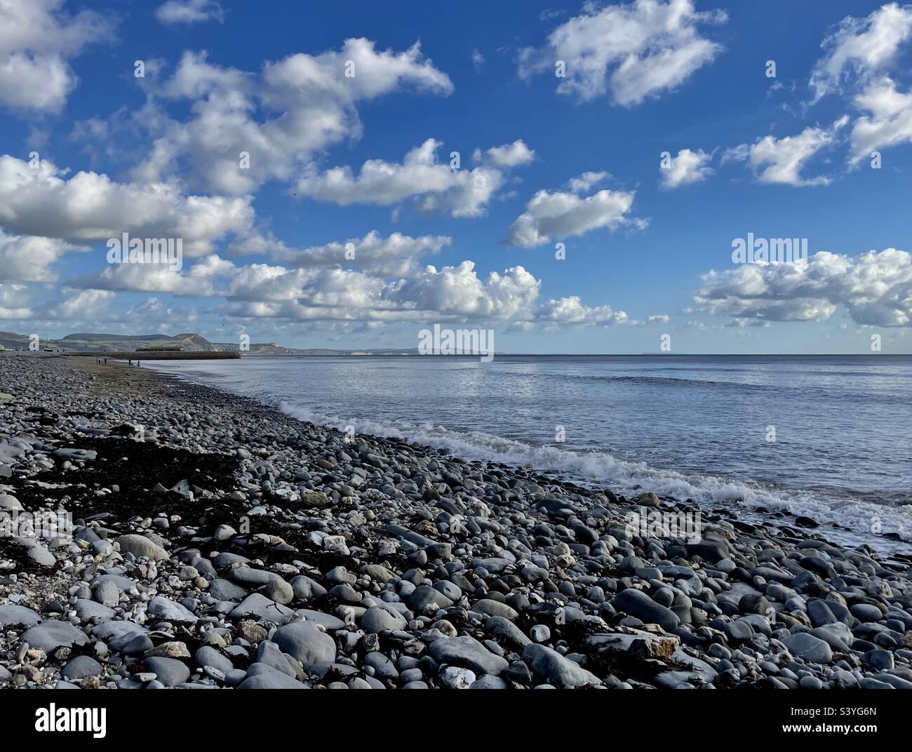 Jurassic coast devon fossil hi-res stock photography and images - Alamy
