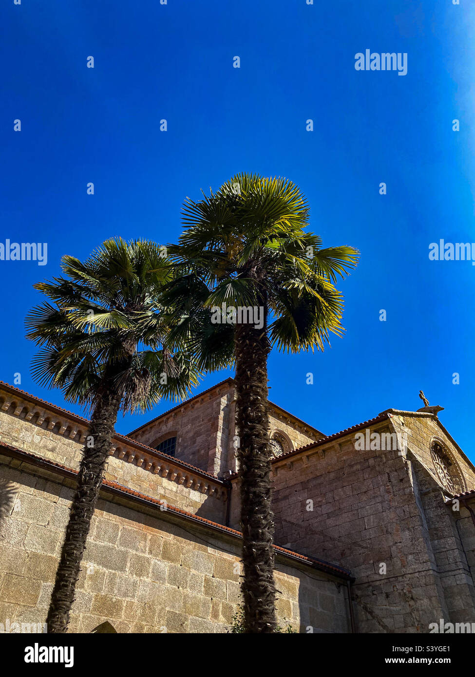 Palm trees and an old church Stock Photo - Alamy