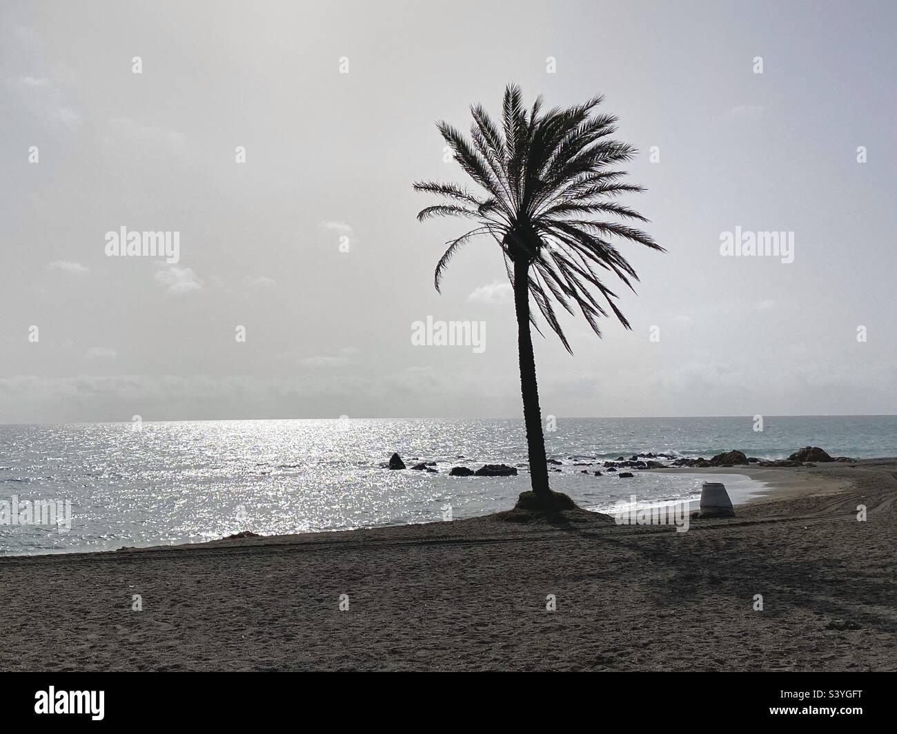 Shimmering hi-res stock photography and images - Alamy