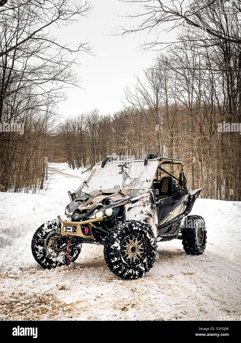 Side by side in the snow in the woods Stock Photo - Alamy