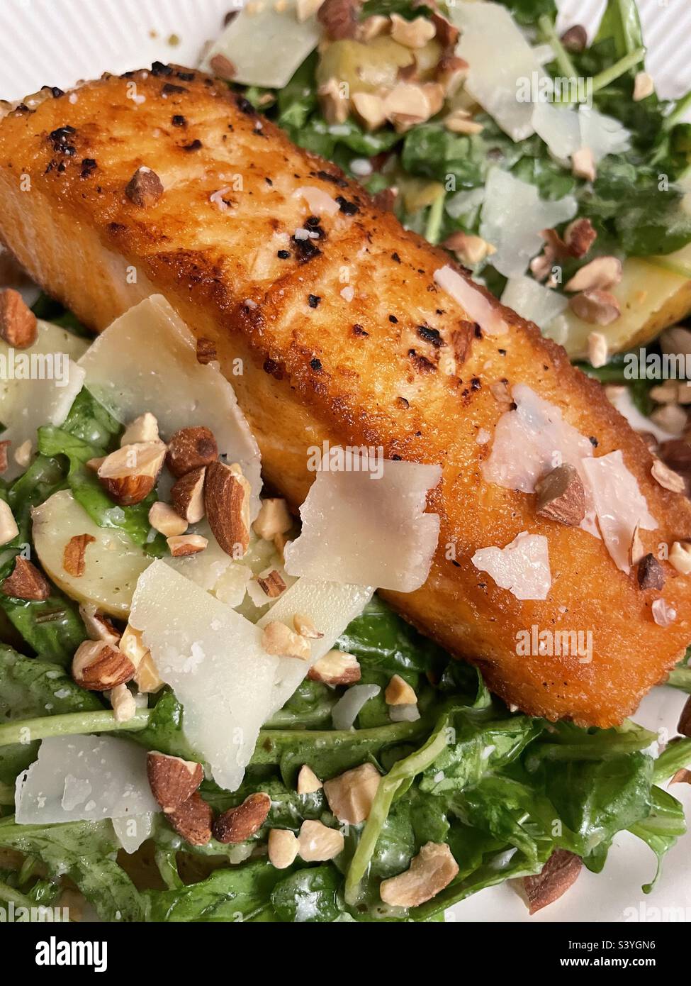 Close up of a seared salmon fillet on a mixed salad bed with Parmesan ...