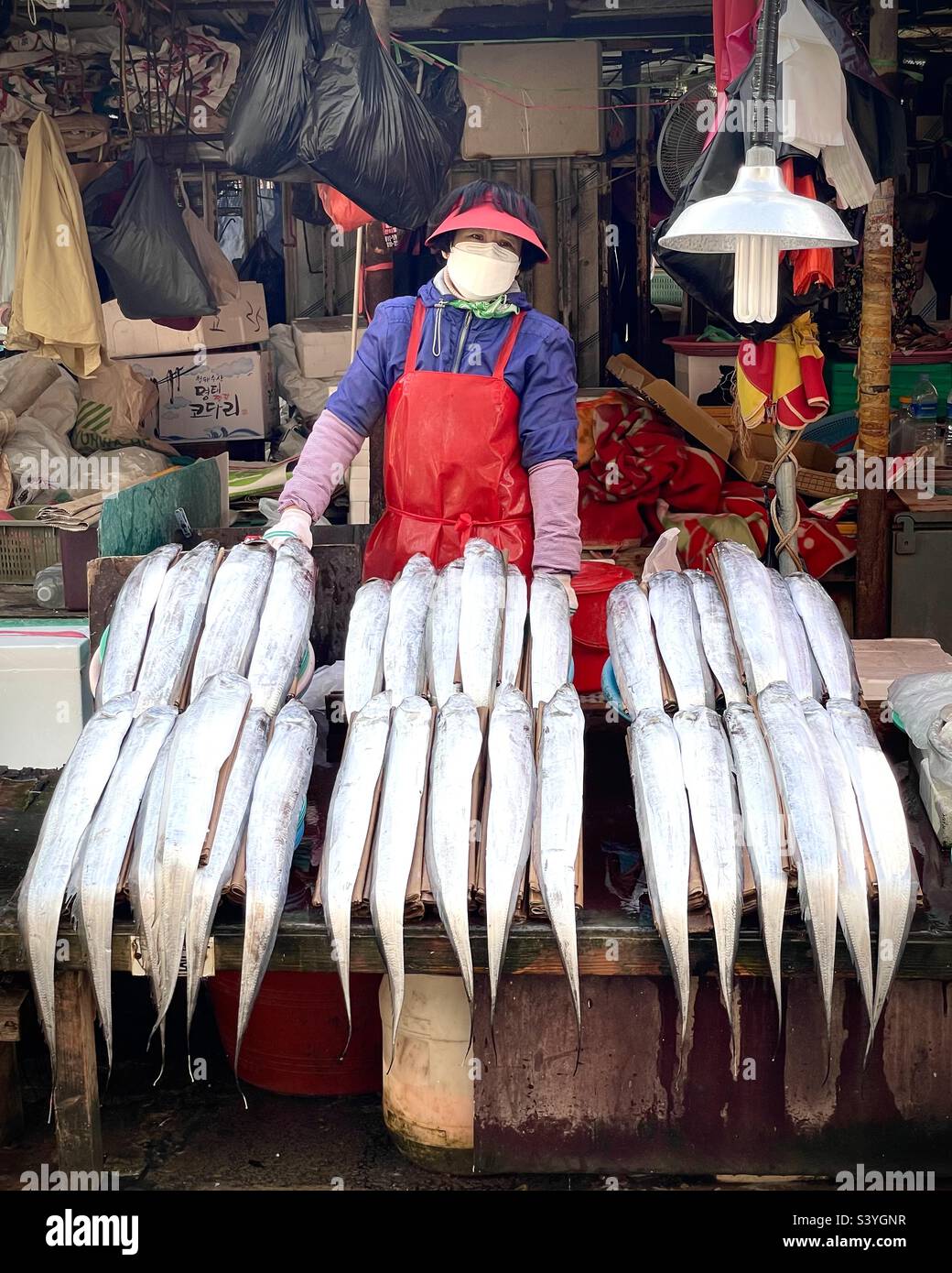 Busan fish market korea hi-res stock photography and images - Alamy