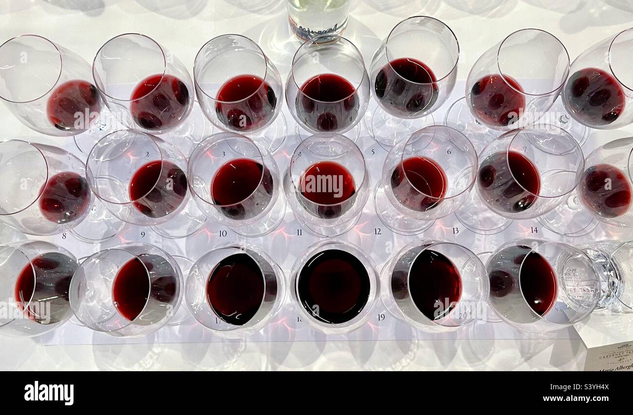Glasses of red wine set up for wine tasting Stock Photo - Alamy