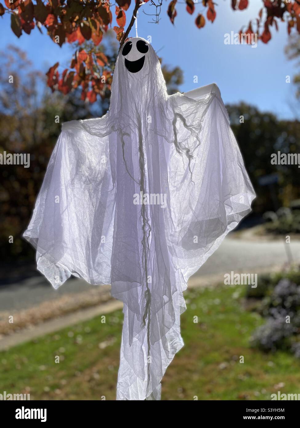 Homemade ghost hangs from tree Stock Photo - Alamy