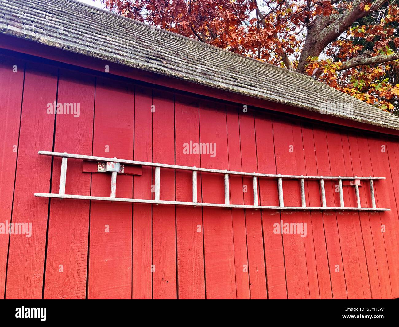Old fashioned ladder attached to red barn in New England during autumn ...