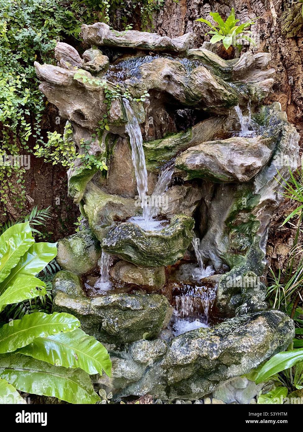 The waterfall tree hi-res stock photography and images - Alamy